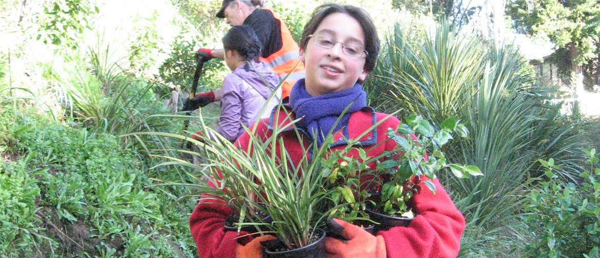 ENVIRONMENT & BIODIVERSITY COURSES – EarthDiverse